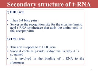 RNA- Structure and their types | PPT