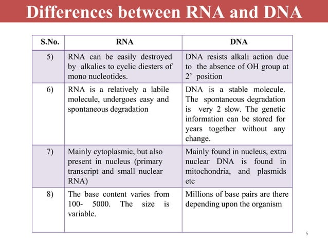 RNA- Structure and their types | PPT