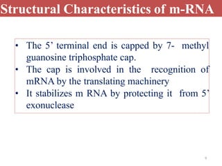 RNA- Structure and their types | PPT