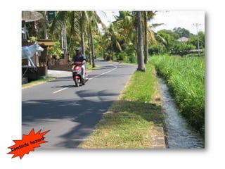 4 roadside hazard management | PDF