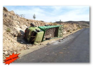 4 roadside hazard management | PDF