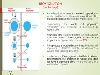 4 R OF RADIOBIOLOGY.pptx