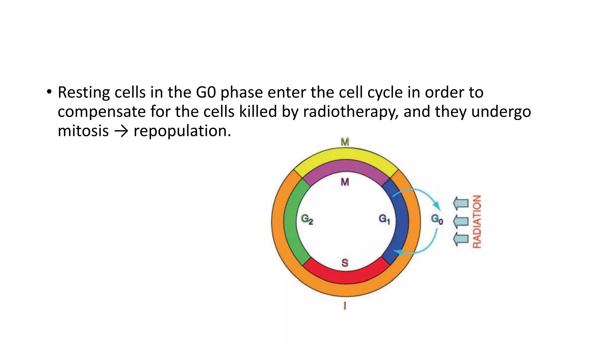 4R of Radiobiology.pptx