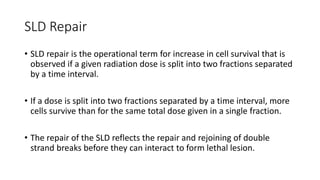 4R of Radiobiology.pptx