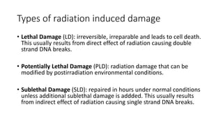 4R of Radiobiology.pptx