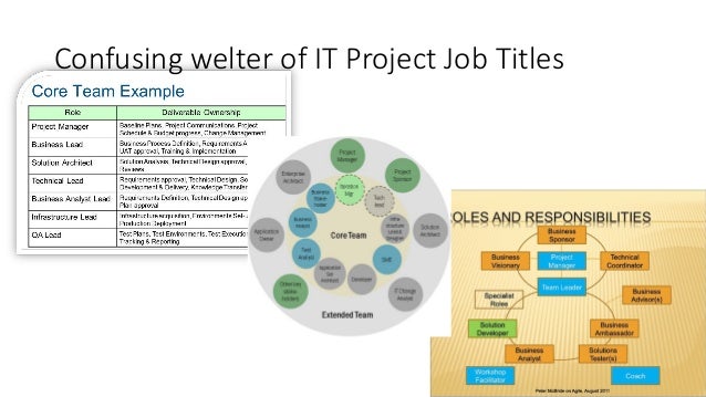 4 roles on the it project team