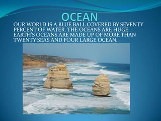 4 Roya Ocean | PPT