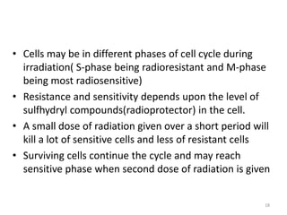 4 rs of radiobiology | PPTX