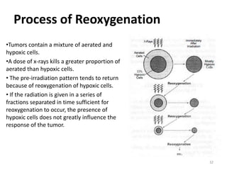 4 rs of radiobiology | PPTX