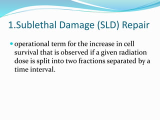 4 rs of radiobiology | PPTX
