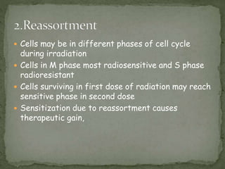 4 rs of radiobiology | PPTX