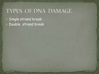 4 rs of radiobiology | PPTX