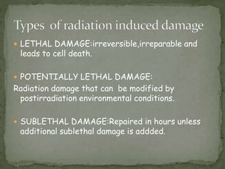 4 rs of radiobiology | PPTX