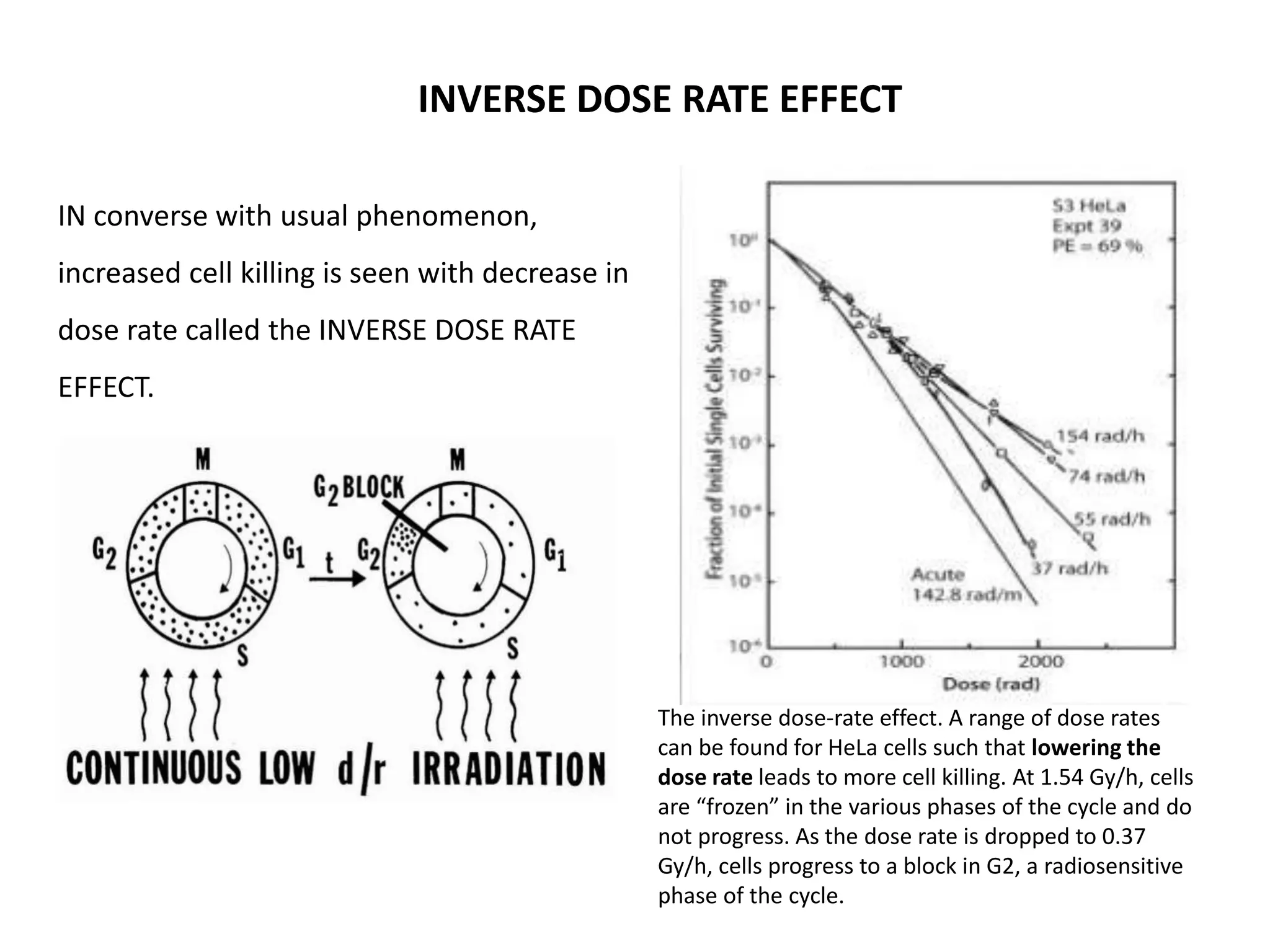 4 r's of radiobiology and dose rate effects | PPTX