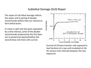 4 r's of radiobiology and dose rate effects | PPTX