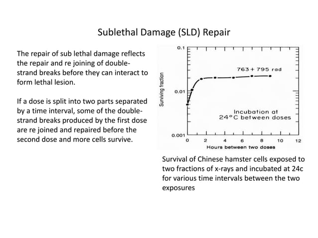 4 r's of radiobiology and dose rate effects | PPTX | Cancer | Diseases ...