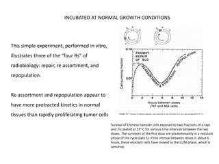 4 r's of radiobiology and dose rate effects | PPTX