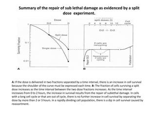 4 r's of radiobiology and dose rate effects | PPTX