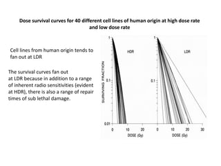 4 r's of radiobiology and dose rate effects | PPTX