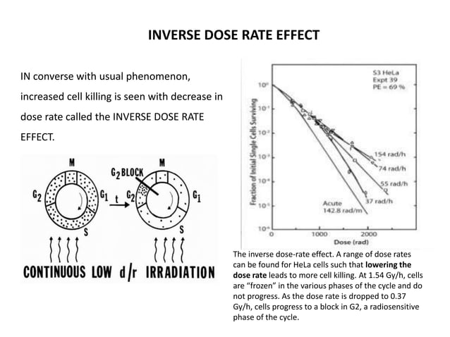 4 r's of radiobiology and dose rate effects | PPTX | Cancer | Diseases ...