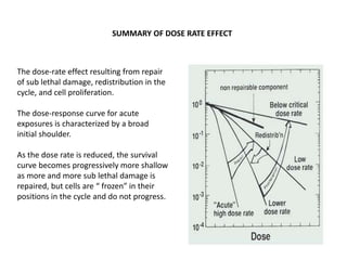 4 r's of radiobiology and dose rate effects | PPTX