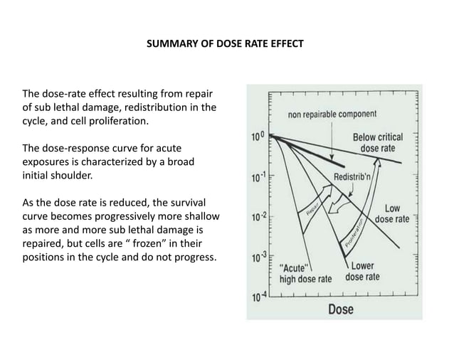 4 r's of radiobiology and dose rate effects | PPTX | Cancer | Diseases ...