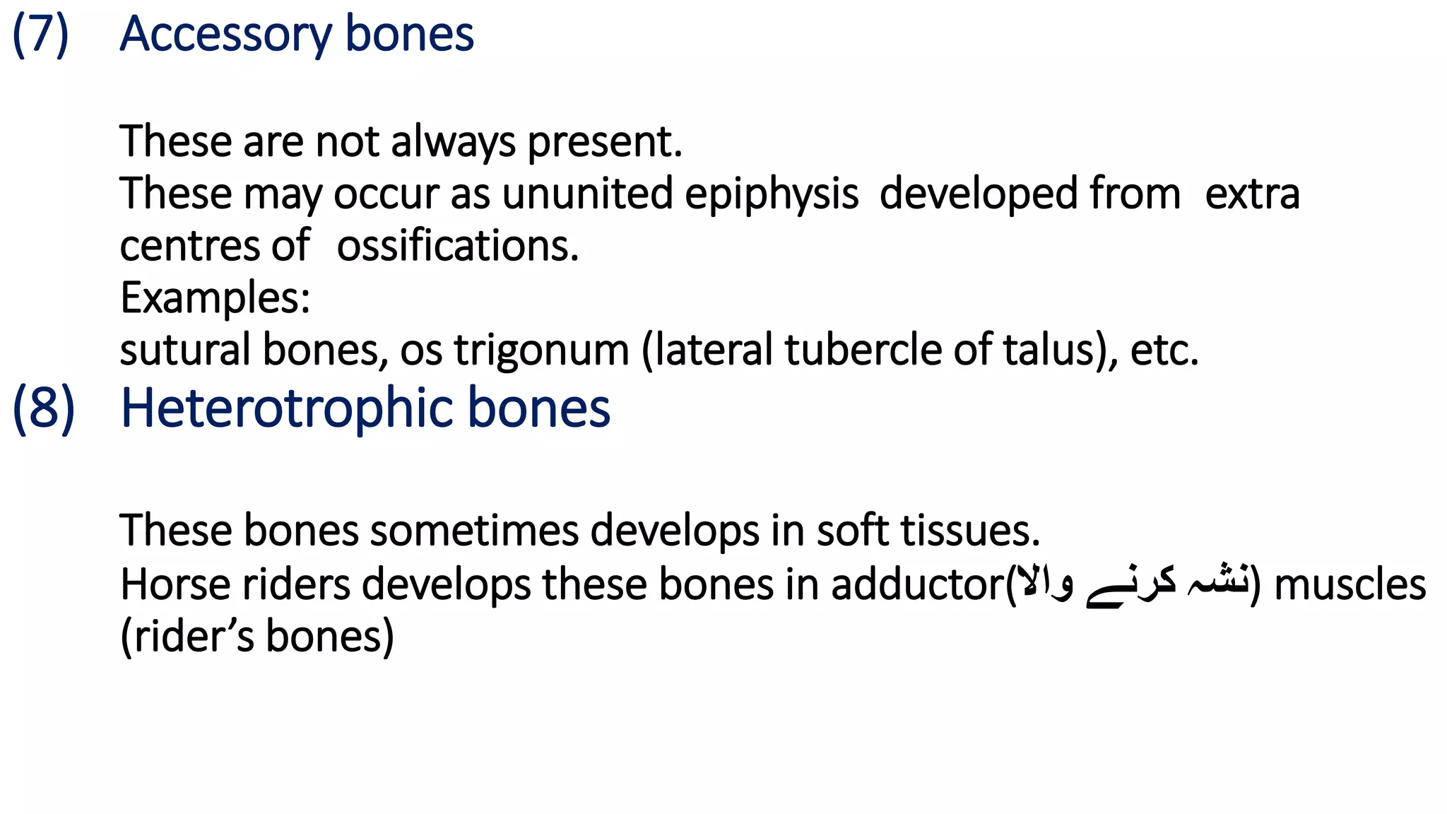 4rth classification of bones.pptx