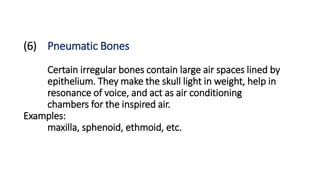4rth classification of bones.pptx