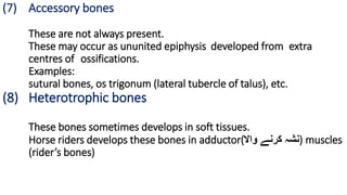 4rth classification of bones.pptx