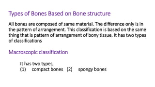 4rth classification of bones.pptx
