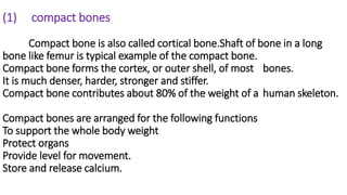 4rth classification of bones.pptx