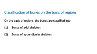4rth classification of bones.pptx