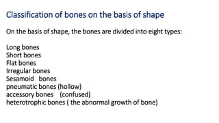 4rth classification of bones.pptx