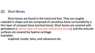 4rth classification of bones.pptx