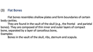 4rth classification of bones.pptx