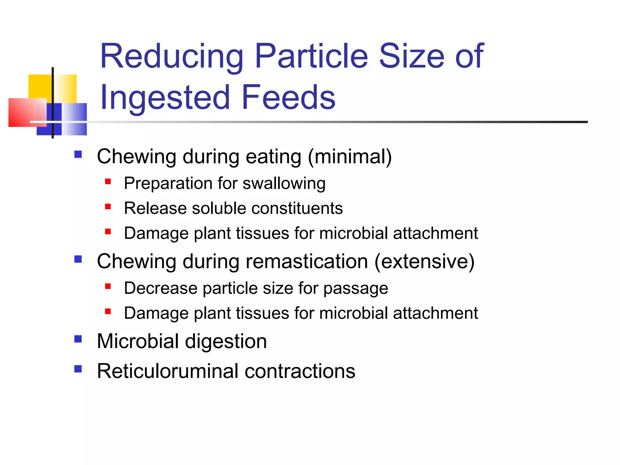 4 rumen fermentation | PPT