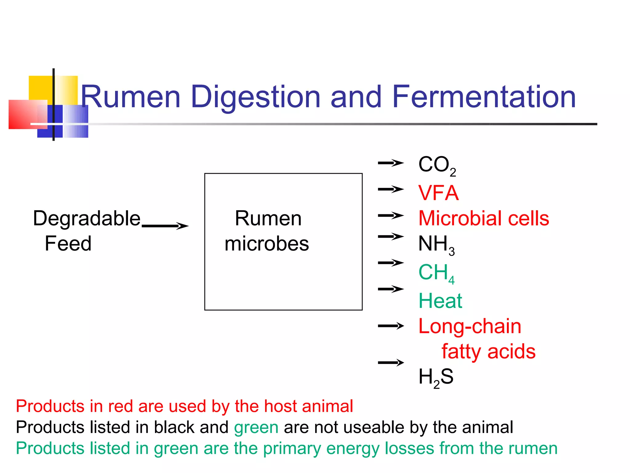 4 rumen fermentation | PPT