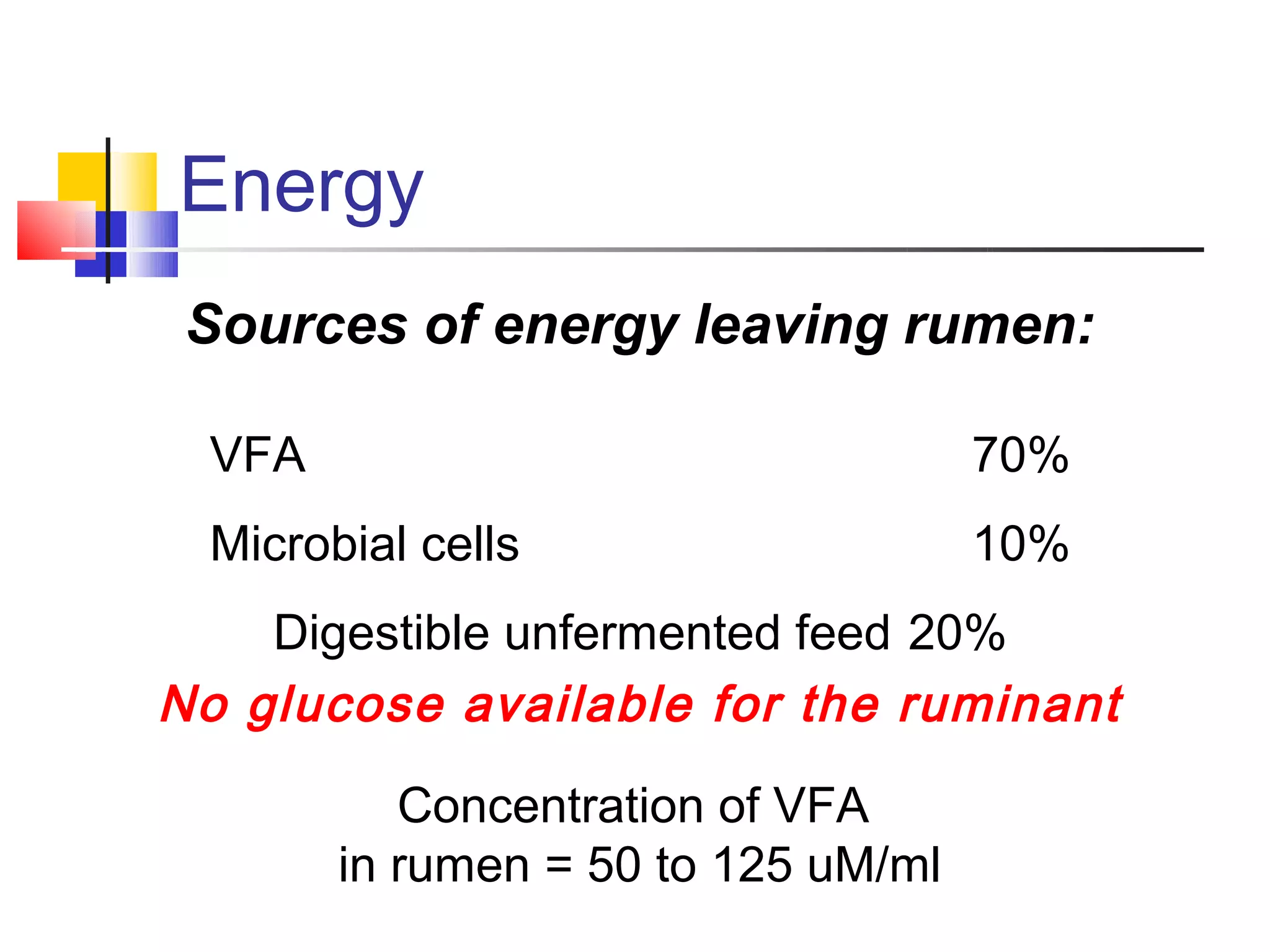 4 rumen fermentation | PPT