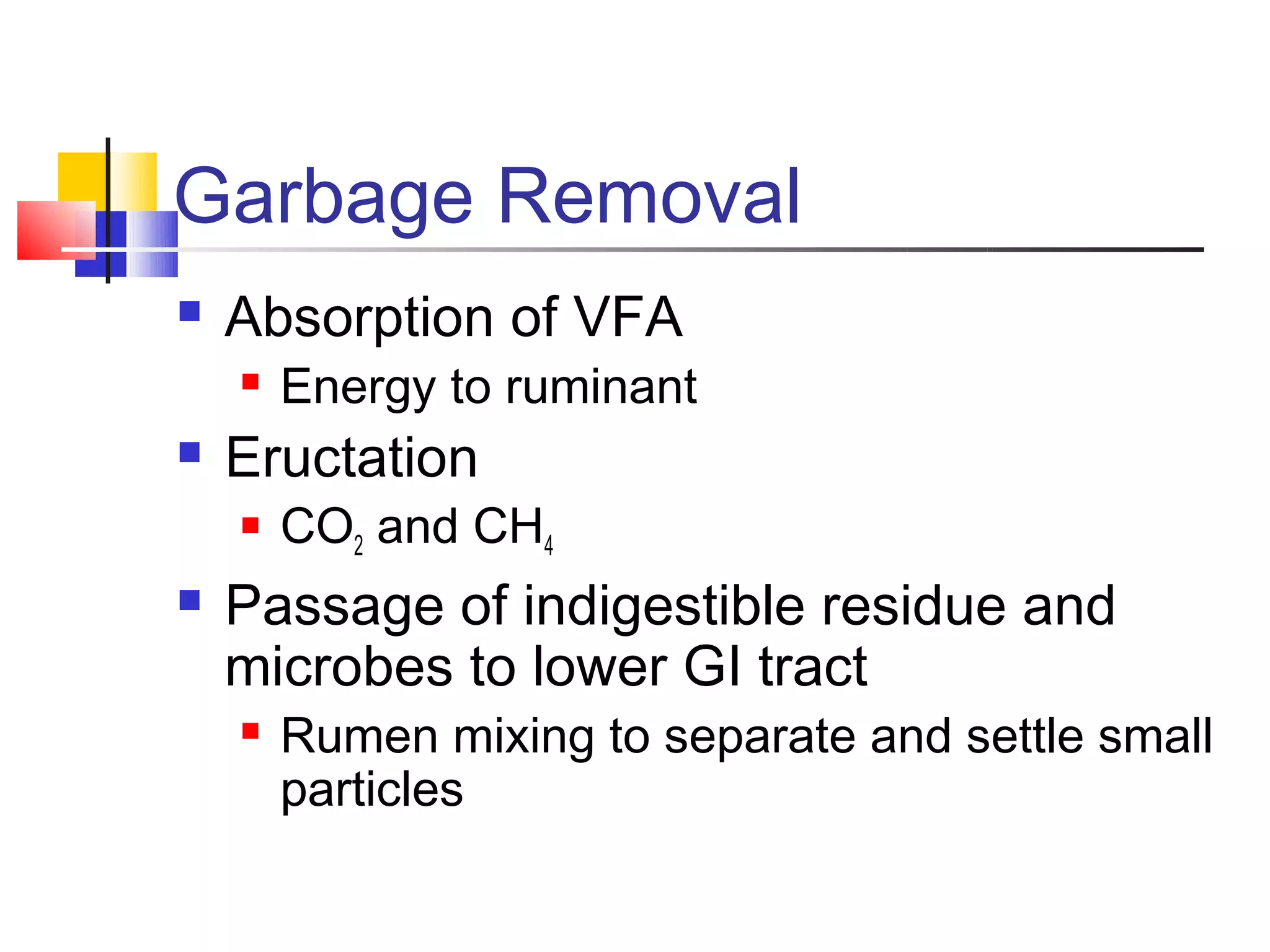 4 rumen fermentation | PPT