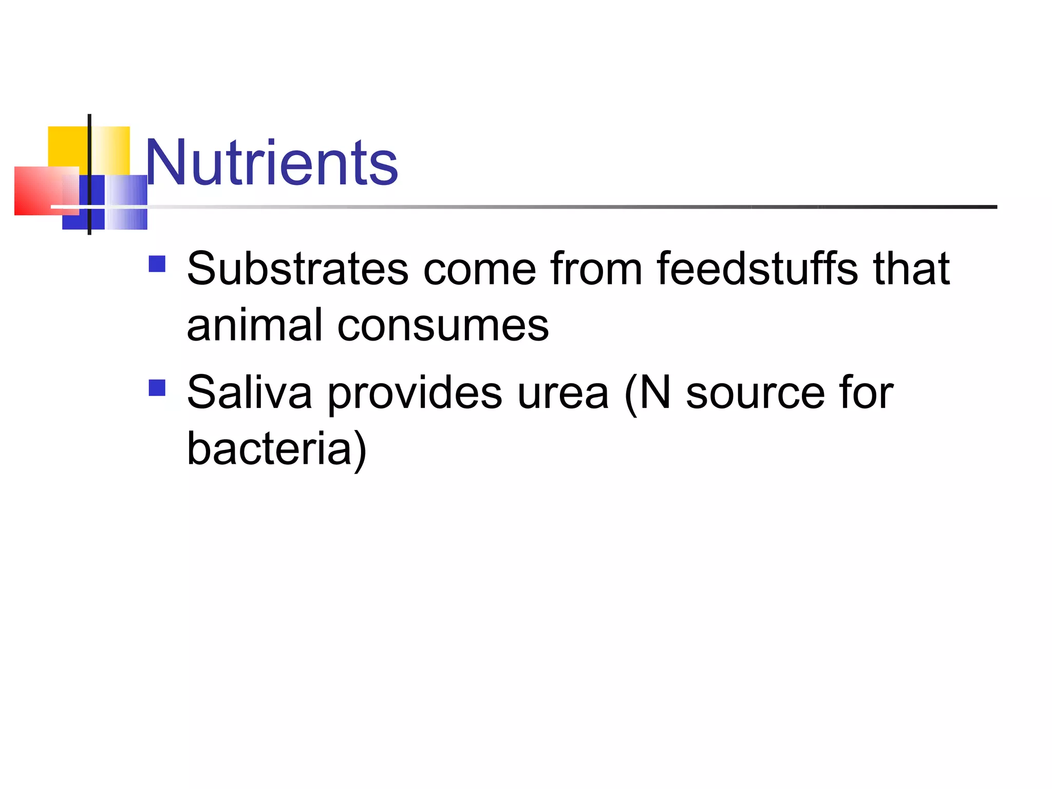 4 rumen fermentation | PPT