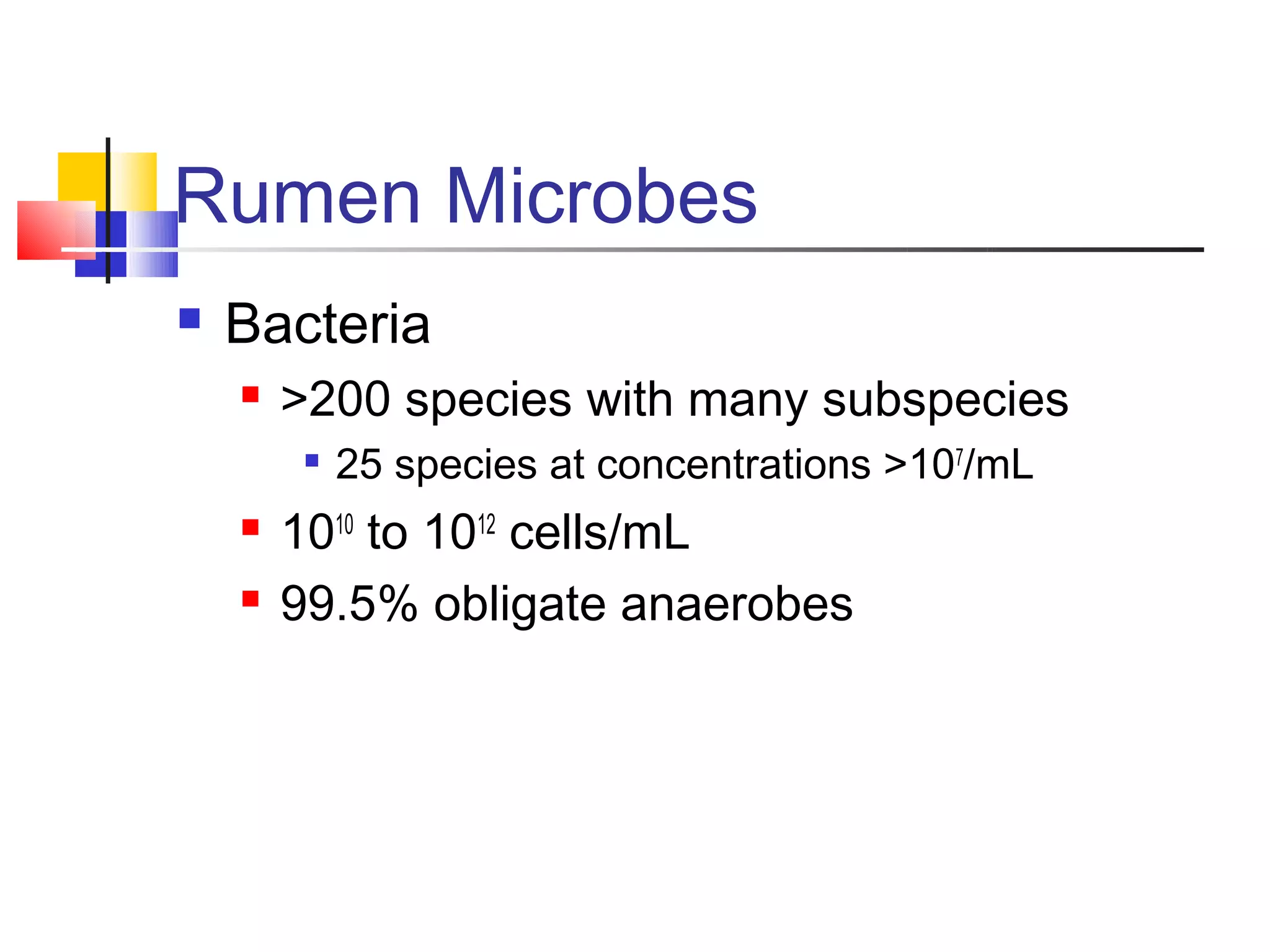 4 rumen fermentation | PPT