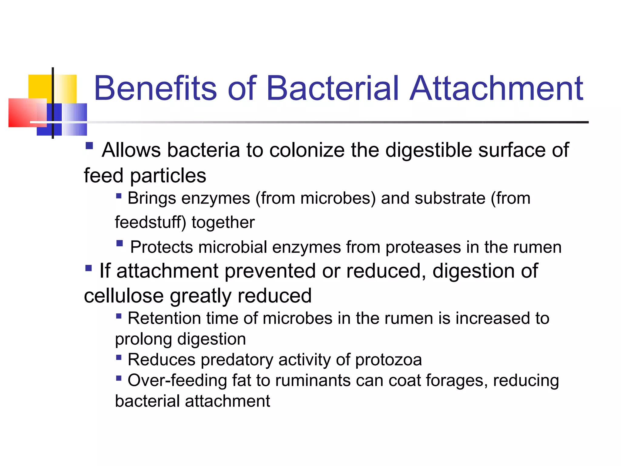 4 rumen fermentation | PPT