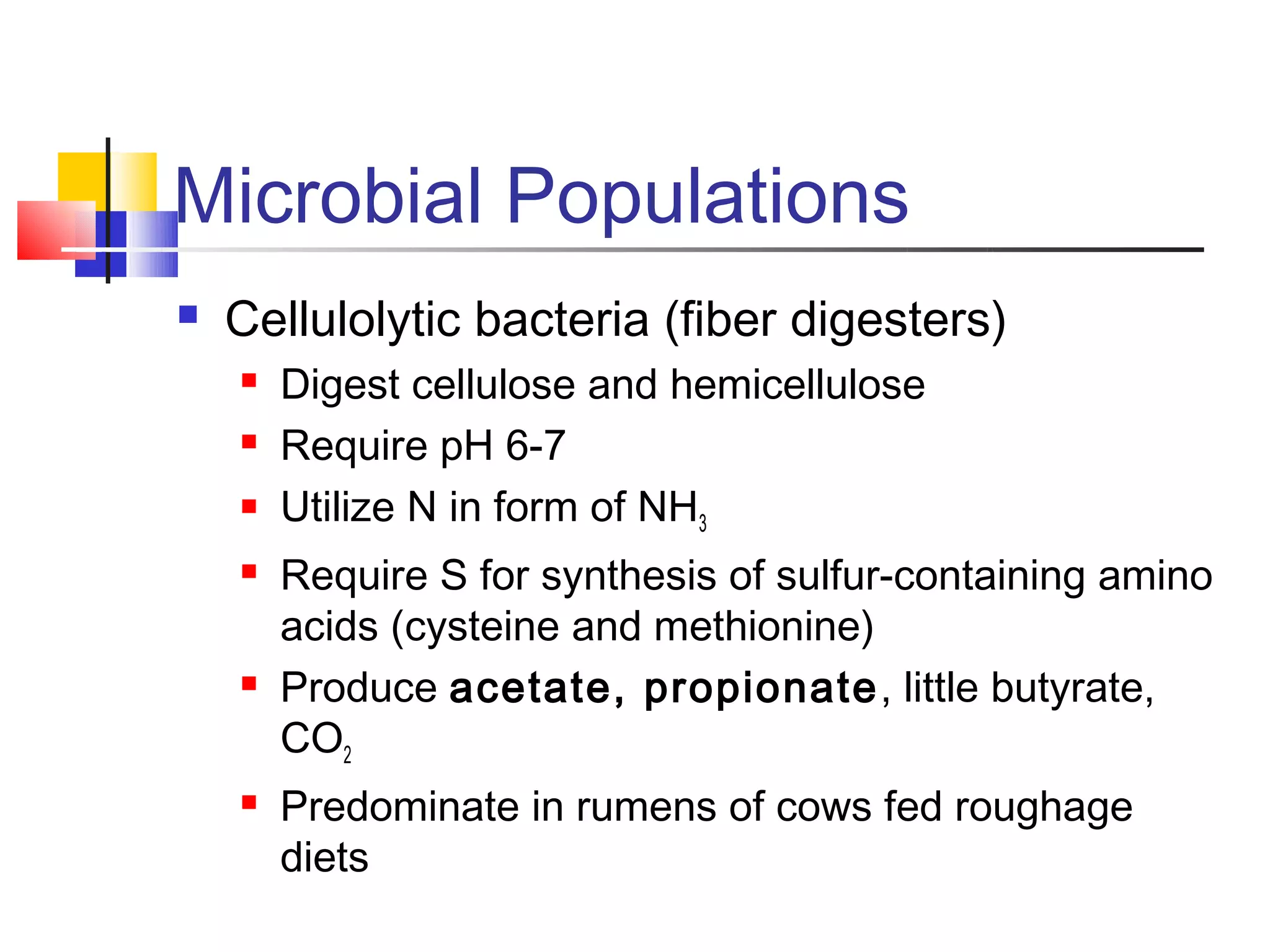 4 rumen fermentation | PPT