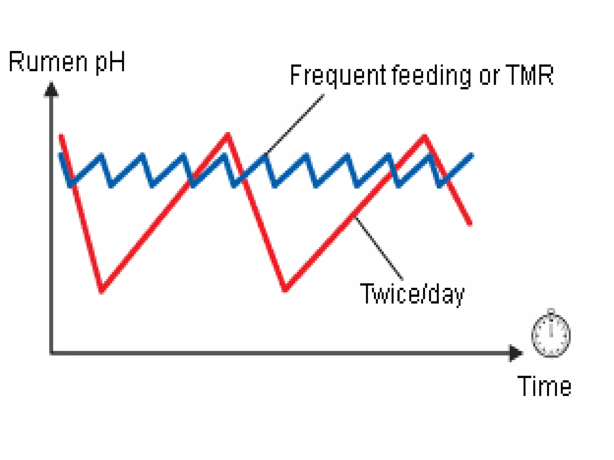 4 rumen fermentation | PPT