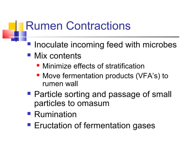 4 rumen fermentation | PPT