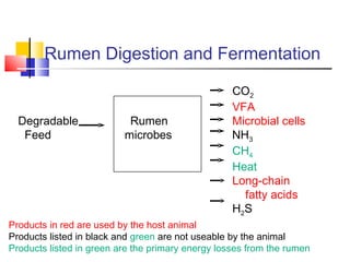 4 rumen fermentation | PPT