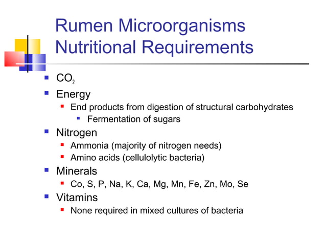 4 rumen fermentation | PPT