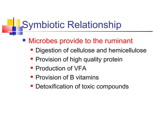 4 rumen fermentation | PPT