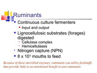 4 rumen fermentation | PPT