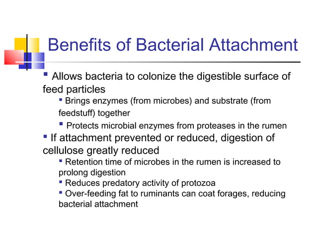 4 rumen fermentation | PPT